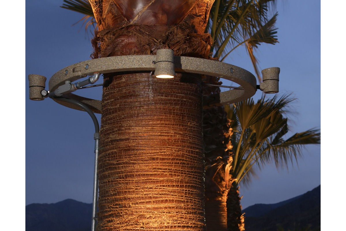 Palm Tree Light Ring - Roto-Lite, Inc - LED Landscape Lighting