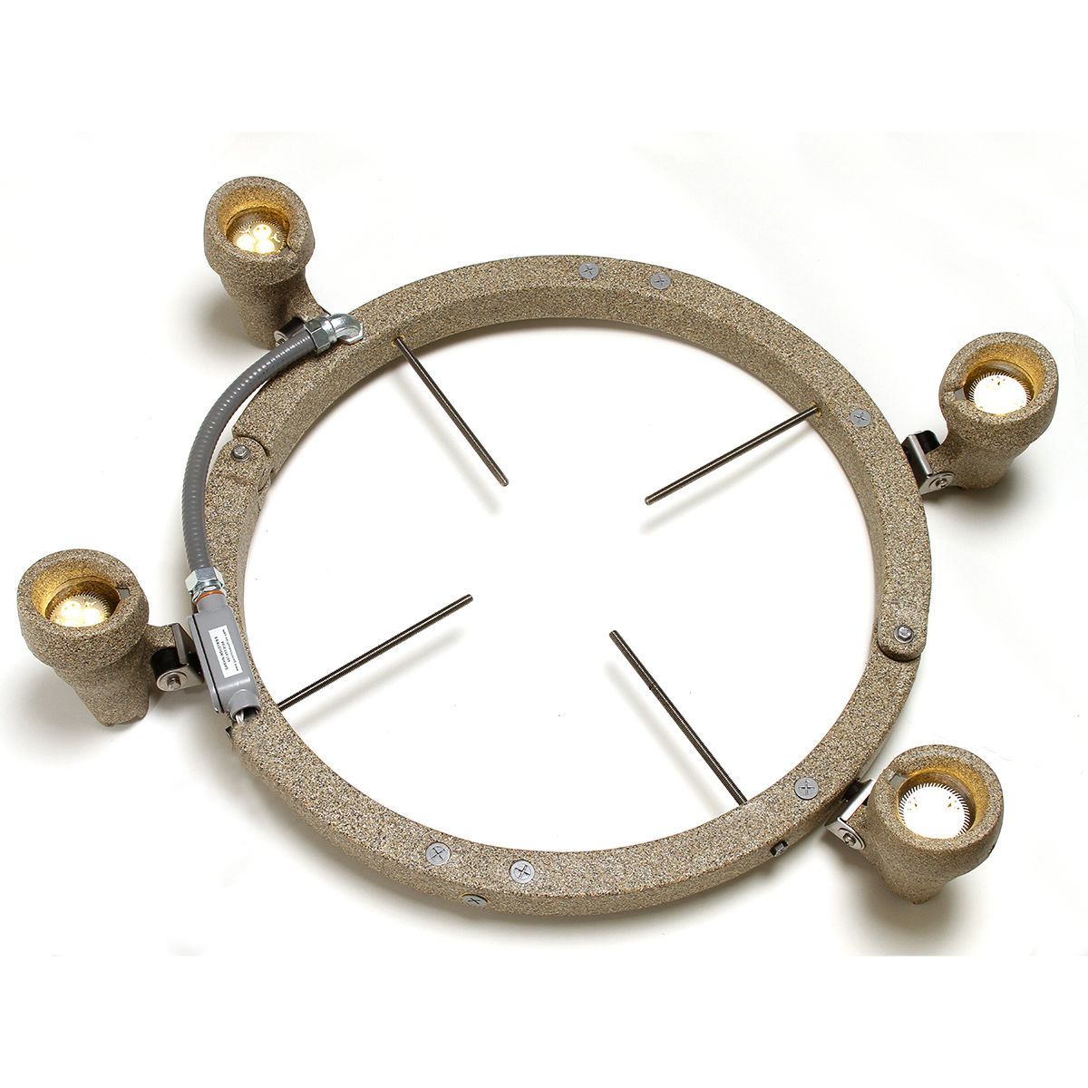 How to Light Up Your Palm Trees - Palm Tree Illumination