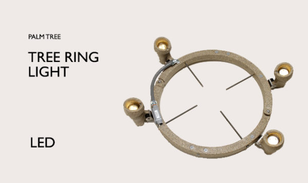 Palm Tree Illumination | LED Landscape Lighting | Lifetime Warranty